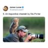 30 Animals Interrupting Wildlife Photographers Steal The Show In This ...