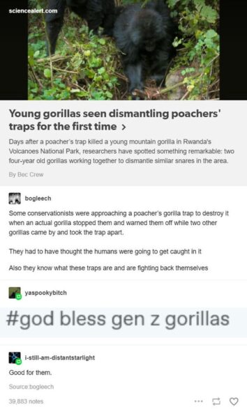 50 Best Tumblr Posts Of All Time That'll Have You Scrolling for More