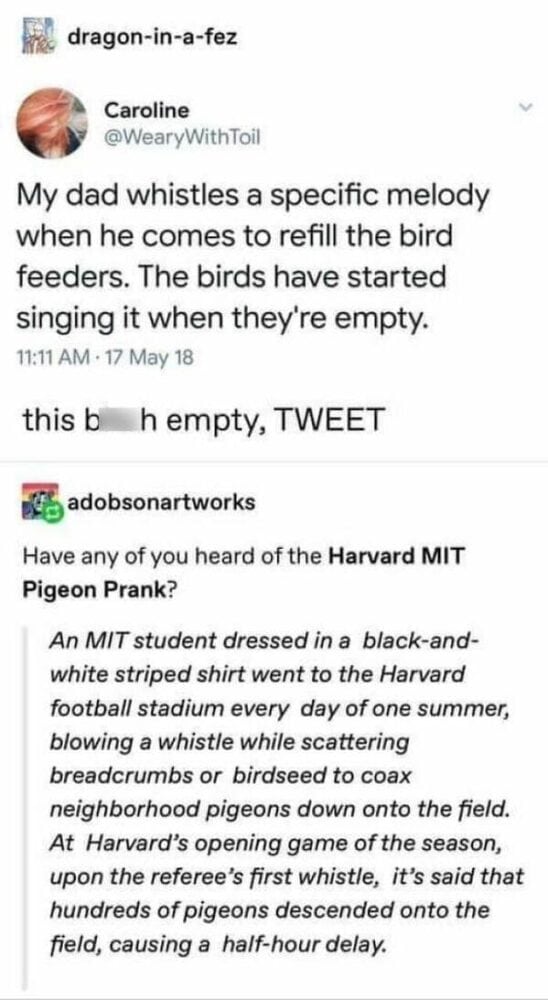 50 Best Tumblr Posts Of All Time That'll Have You Scrolling for More