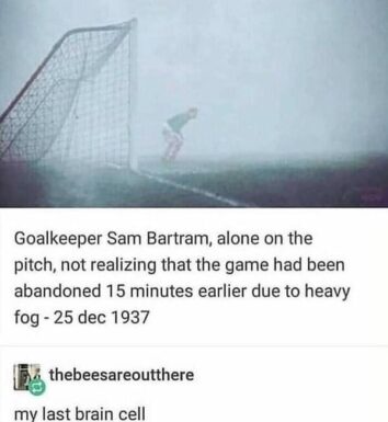 50 Best Tumblr Posts Of All Time That'll Have You Scrolling for More