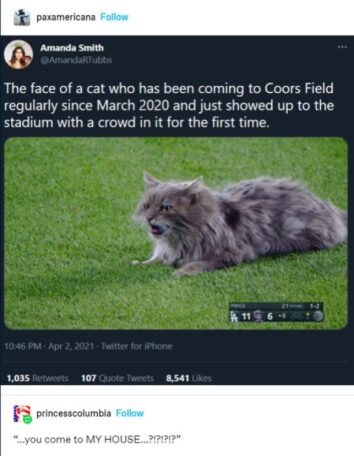 50 Best Tumblr Posts Of All Time That'll Have You Scrolling for More