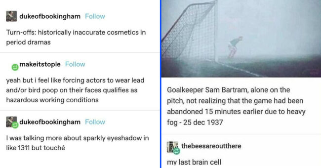 50 Best Tumblr Posts Of All Time That'll Have You Scrolling for More