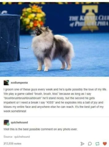 50 Best Tumblr Posts Of All Time That'll Have You Scrolling for More