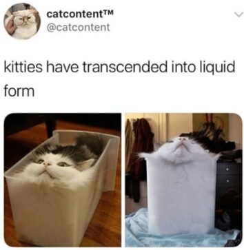 50 Animal Memes To Make Your Week A Whole Lot Funnier (May 3, 2024)