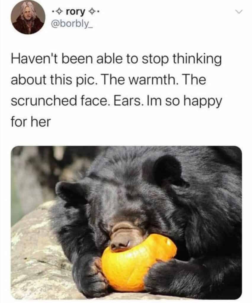 60 Funny Food Memes And Tweets From 'I Am Starving AF' That Are Even ...