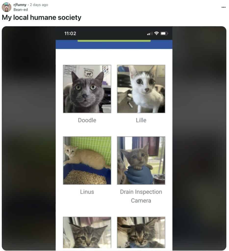 40 Funniest Reddit Posts From The Depths Of The Internet This Week (May ...