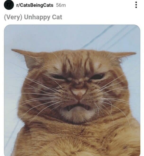 40 Funniest Reddit Posts From The Depths Of The Internet This Week (May ...