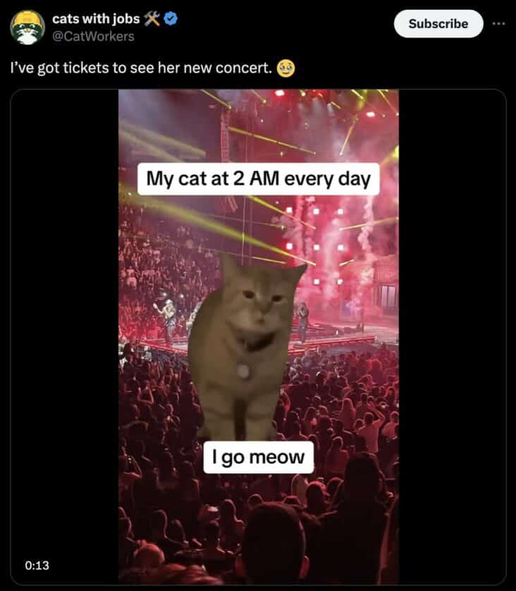 37 Funniest Tweets About Cats And Dogs From This Week (May 25, 2024)