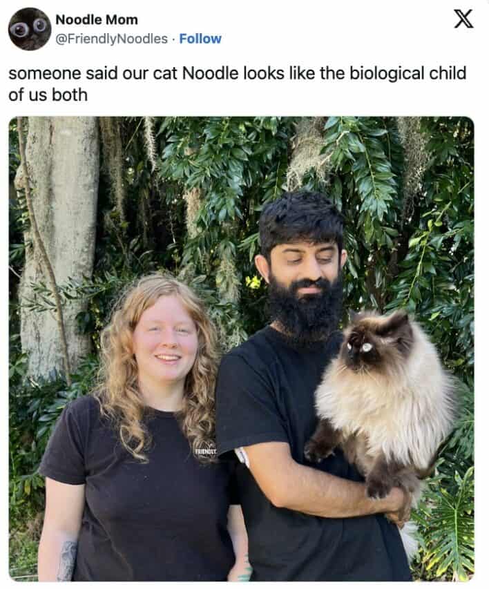 37 Funniest Tweets About Cats And Dogs From This Week (May 25, 2024)