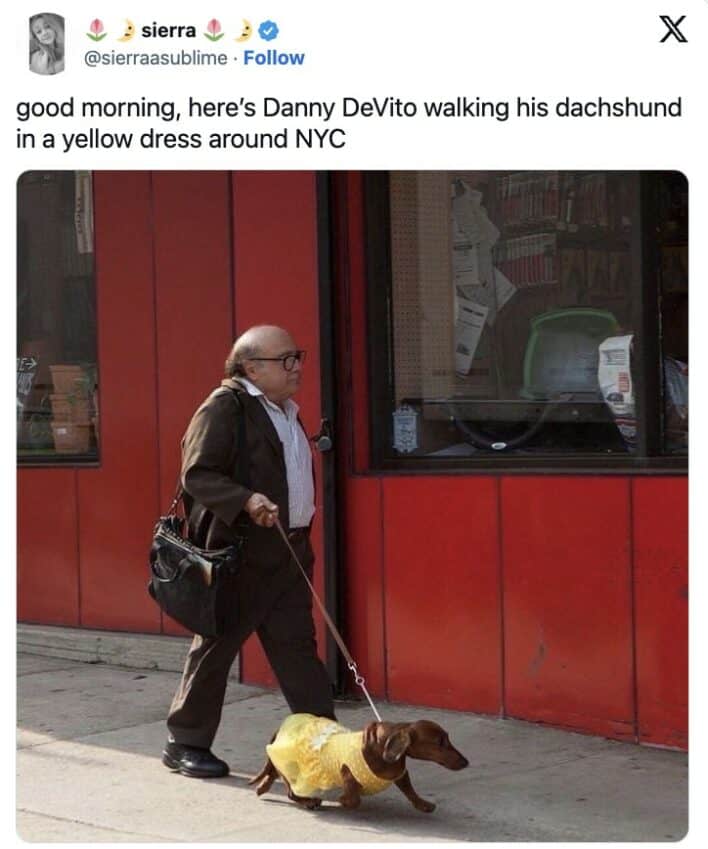 37 Funniest Tweets About Cats And Dogs From This Week (May 25, 2024)