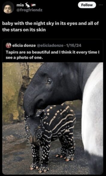 45 Animal Memes That Will Make Your Day Pawsitively Purrfect (May 17, 2024)