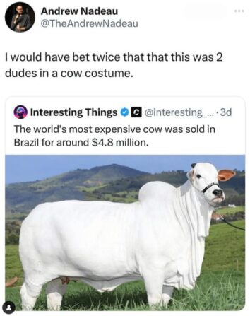 45 Animal Memes That Will Make Your Day Pawsitively Purrfect (May 17, 2024)