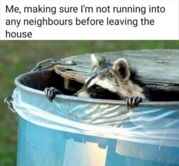 45 Animal Memes That Will Make Your Day Pawsitively Purrfect (May 17, 2024)