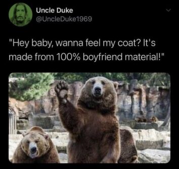 45 Animal Memes That Will Make Your Day Pawsitively Purrfect (May 17, 2024)