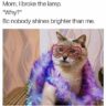 45 Animal Memes That Will Make Your Day Pawsitively Purrfect (May 17, 2024)