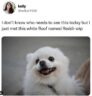 45 Animal Memes That Will Make Your Day Pawsitively Purrfect (May 17, 2024)