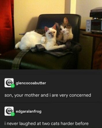 45 Adorably Hilarious Animal Memes That Made Our Week Brighter (May 31 ...