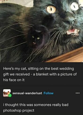 45 Adorably Hilarious Animal Memes That Made Our Week Brighter (May 31 ...