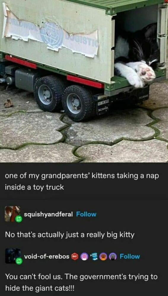 45 Adorably Hilarious Animal Memes That Made Our Week Brighter (May 31 ...