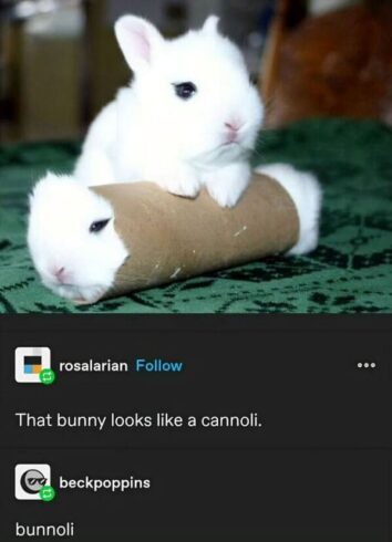 45 Adorably Hilarious Animal Memes That Made Our Week Brighter (May 31 ...