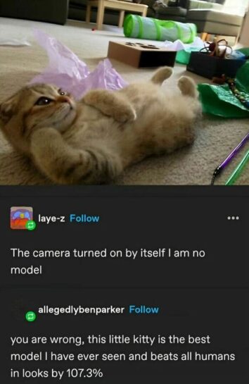 45 Adorably Hilarious Animal Memes That Made Our Week Brighter (May 31 ...