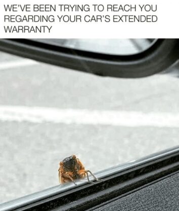 35+ Funny Cicada Memes That Are Buzzing All Over The Internet (May 24 ...