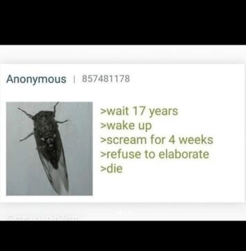 35+ Funny Cicada Memes That Are Buzzing All Over The Internet (May 24 ...