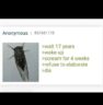 35+ Funny Cicada Memes That Are Buzzing All Over The Internet (May 24 ...