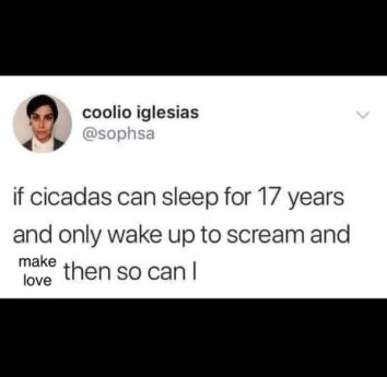 35+ Funny Cicada Memes That Are Buzzing All Over The Internet (May 24 ...