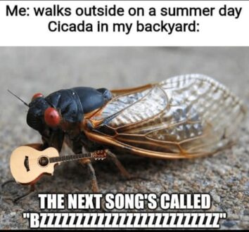 35+ Funny Cicada Memes That Are Buzzing All Over The Internet (May 24 ...