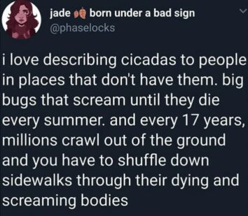 35+ Funny Cicada Memes That Are Buzzing All Over The Internet (May 24 ...