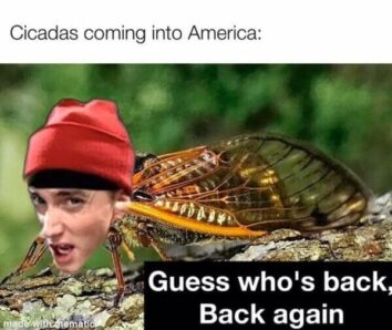 35+ Funny Cicada Memes That Are Buzzing All Over The Internet (May 24 ...