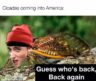 35+ Funny Cicada Memes That Are Buzzing All Over The Internet (May 24 ...