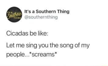 35+ Funny Cicada Memes That Are Buzzing All Over The Internet (May 24 ...