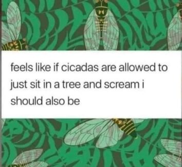 35+ Funny Cicada Memes That Are Buzzing All Over The Internet (May 24 ...
