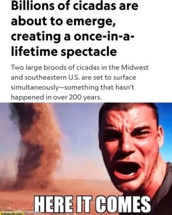 35+ Funny Cicada Memes That Are Buzzing All Over The Internet (May 24 ...