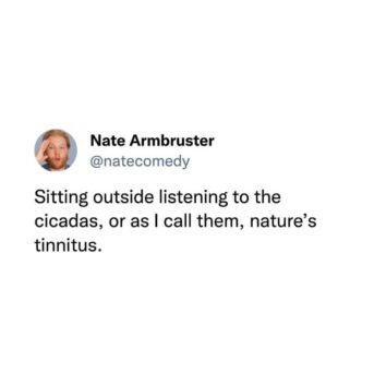 35+ Funny Cicada Memes That Are Buzzing All Over The Internet (May 24 ...