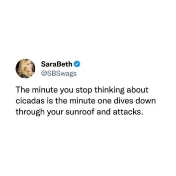 35+ Funny Cicada Memes That Are Buzzing All Over The Internet (May 24 ...