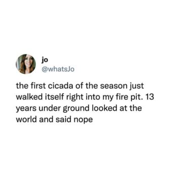 35+ Funny Cicada Memes That Are Buzzing All Over The Internet (May 24 ...