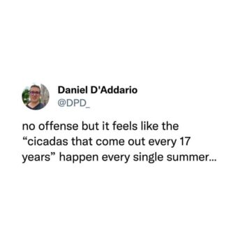 35+ Funny Cicada Memes That Are Buzzing All Over The Internet (May 24 ...