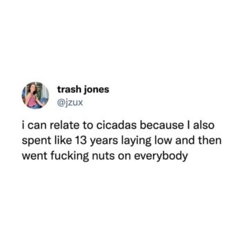 35+ Funny Cicada Memes That Are Buzzing All Over The Internet (May 24 ...