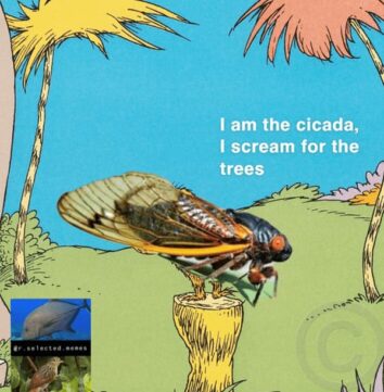 35+ Funny Cicada Memes That Are Buzzing All Over The Internet (May 24 ...