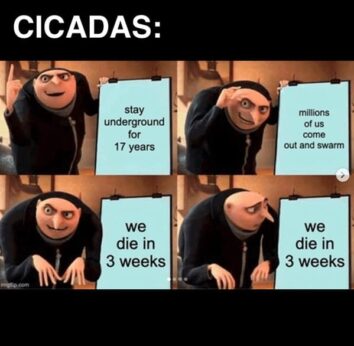 35+ Funny Cicada Memes That Are Buzzing All Over The Internet (May 24 ...