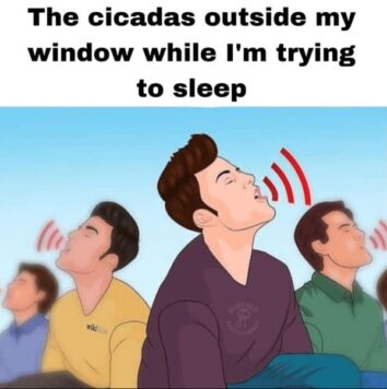 35+ Funny Cicada Memes That Are Buzzing All Over The Internet (May 24 ...