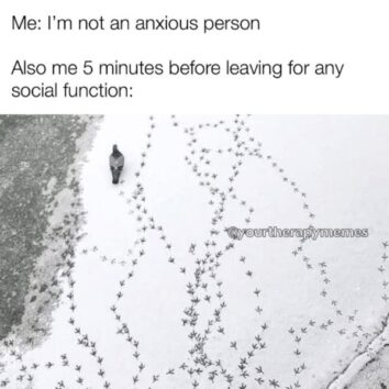 45 Hilariously Relatable Introvert Memes For Thoses Who’ve Mastered The ...