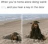 45 Hilariously Relatable Introvert Memes For Thoses Who’ve Mastered The ...