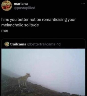 45 Hilariously Relatable Introvert Memes For Thoses Who’ve Mastered The ...