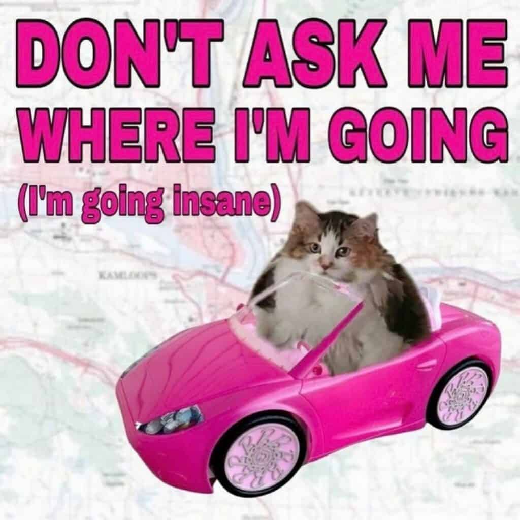 45 Relatable Dark Humor Memes From The 'Just Nihilism Things' Instagram ...