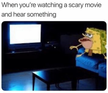 50 Movie Memes For Film Fans And Cinephiles Who Always Stay Until The ...