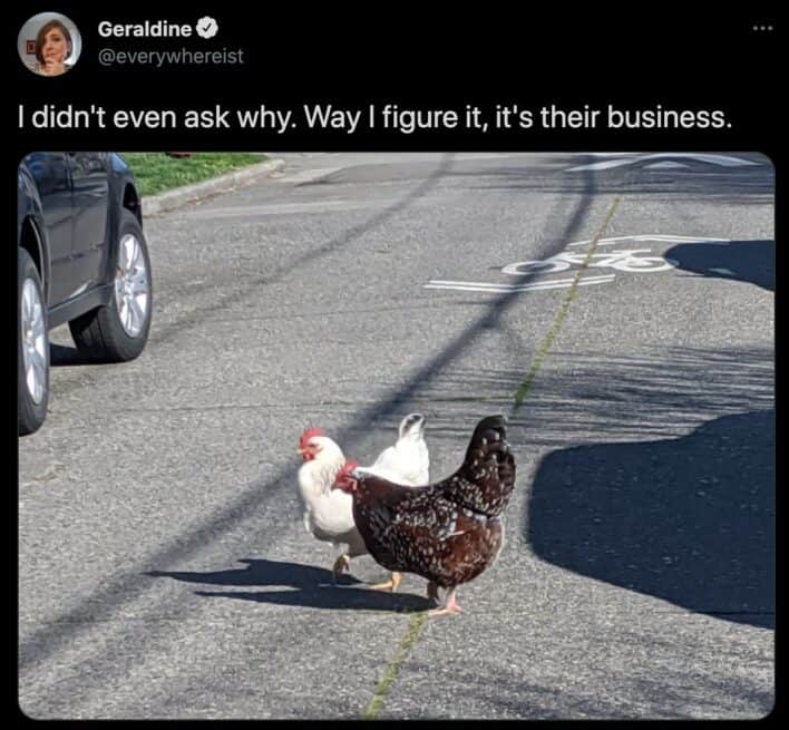 40 Funny Observation Tweets That Brilliantly Captured The World Around Us